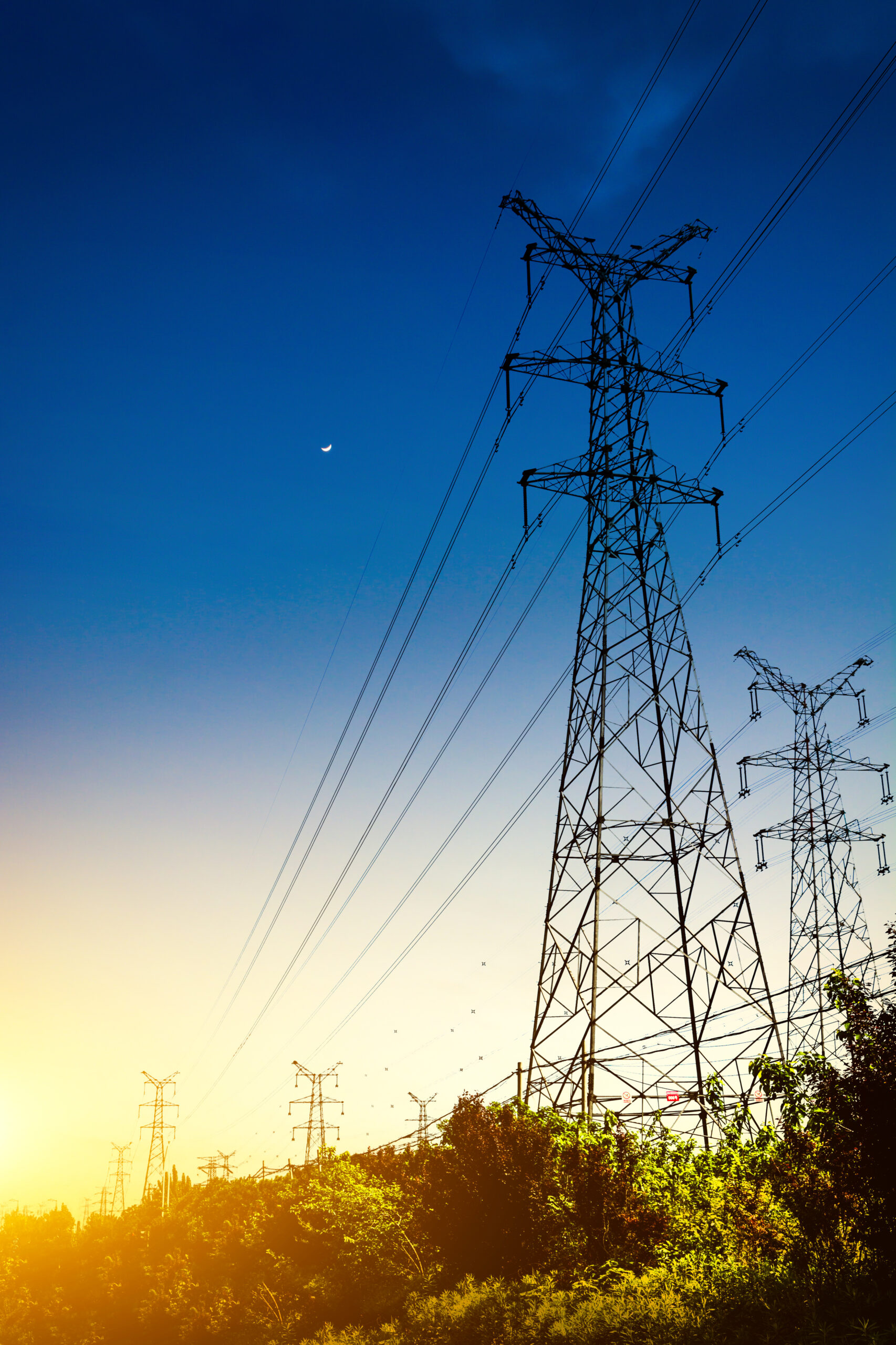 Energy & Utilities Screening - RefCheck